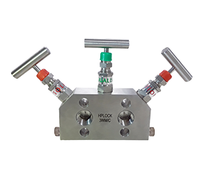 Coplanar Manifold - Coplanar Manifolds Manufacturer in india - HP ...