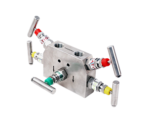 Coplanar Manifold - Coplanar Manifolds Manufacturer in india - HP ...